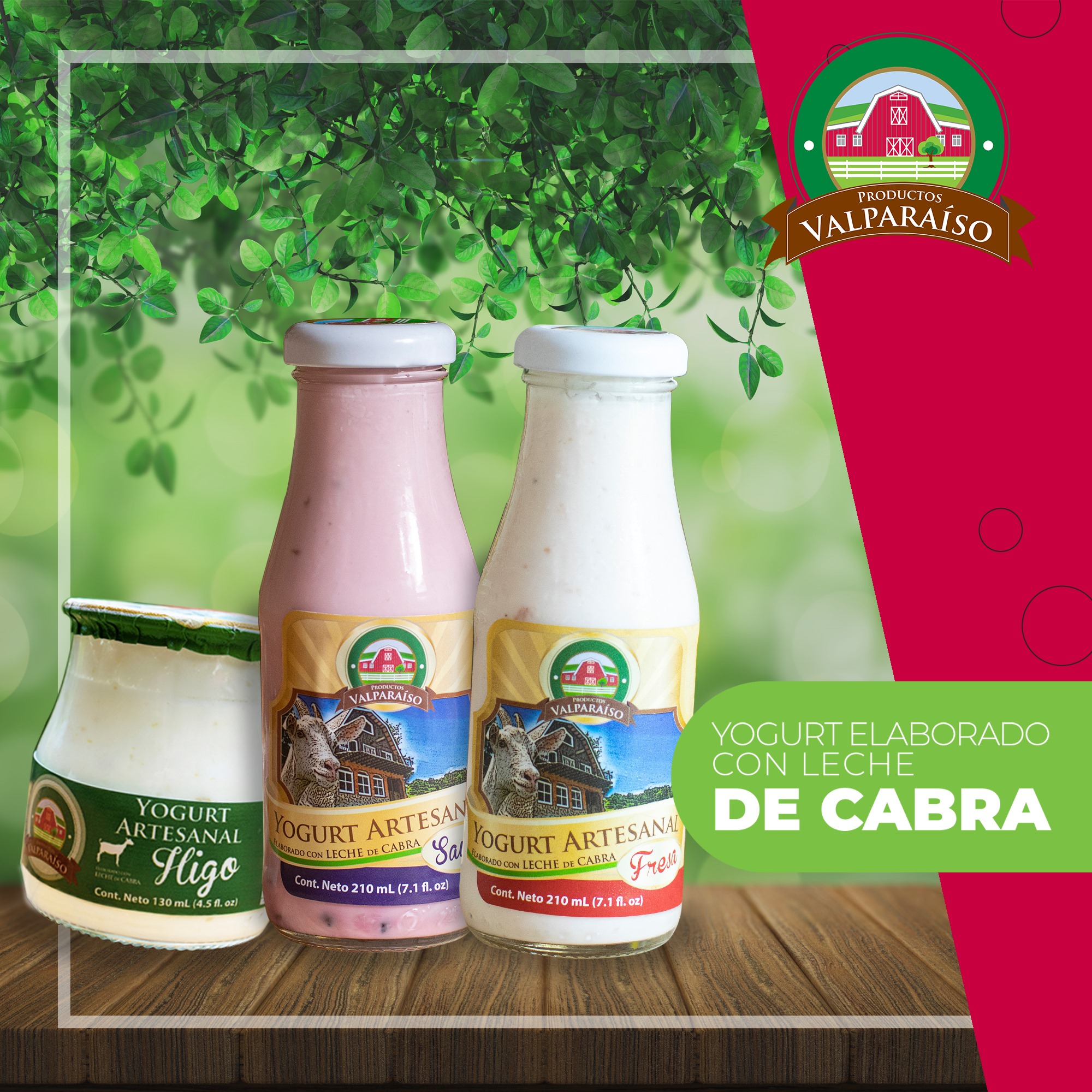 Conoce los beneficios de la leche de cabra en el sistema inmune ...