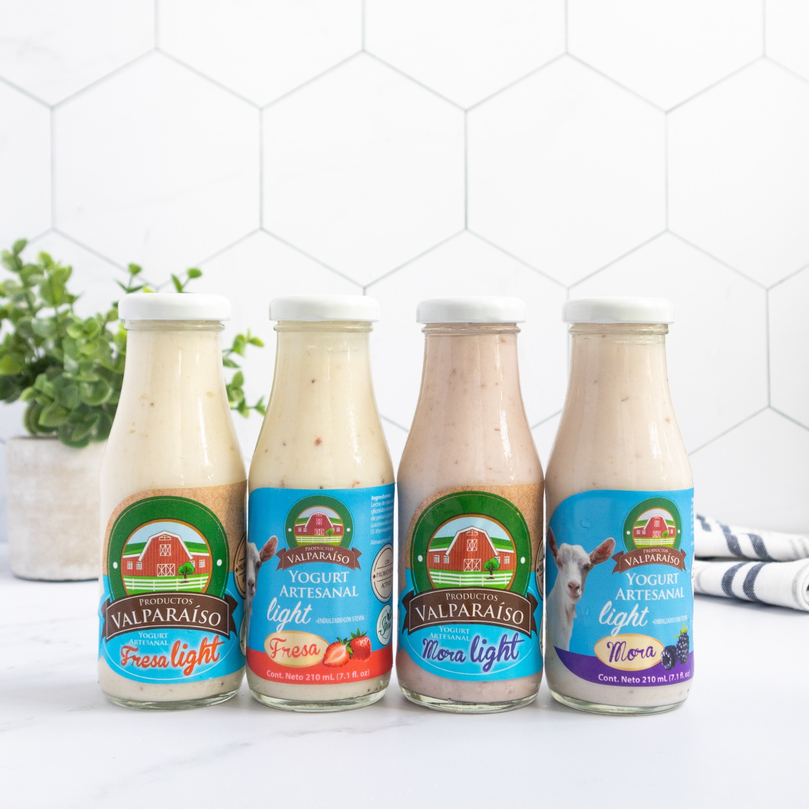 Leche de cabra una excelente fuente de nutrientes y proteínas - relato ...